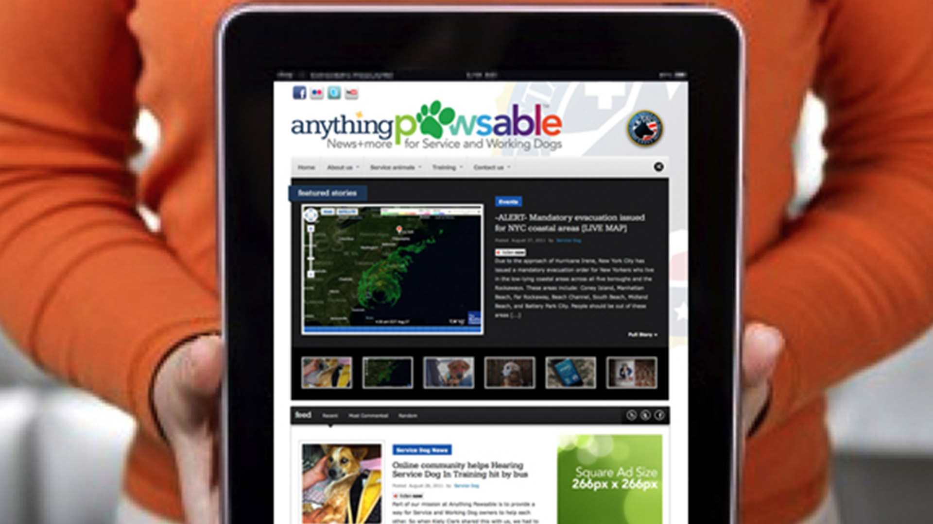 Introducing Anything Pawsable, News and More for Service and Working ...