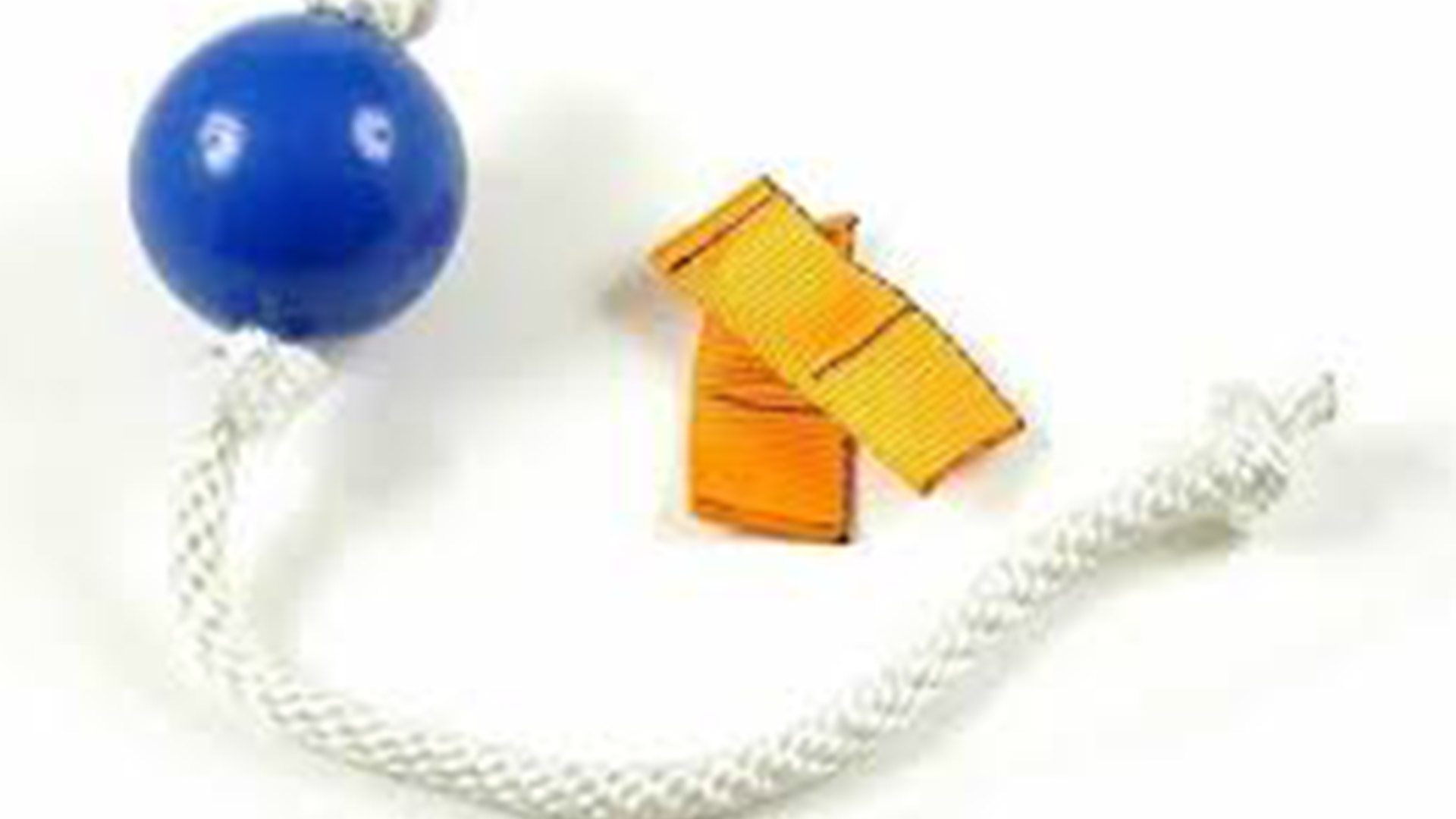 Magnetic Reward Ball – Anything Pawsable