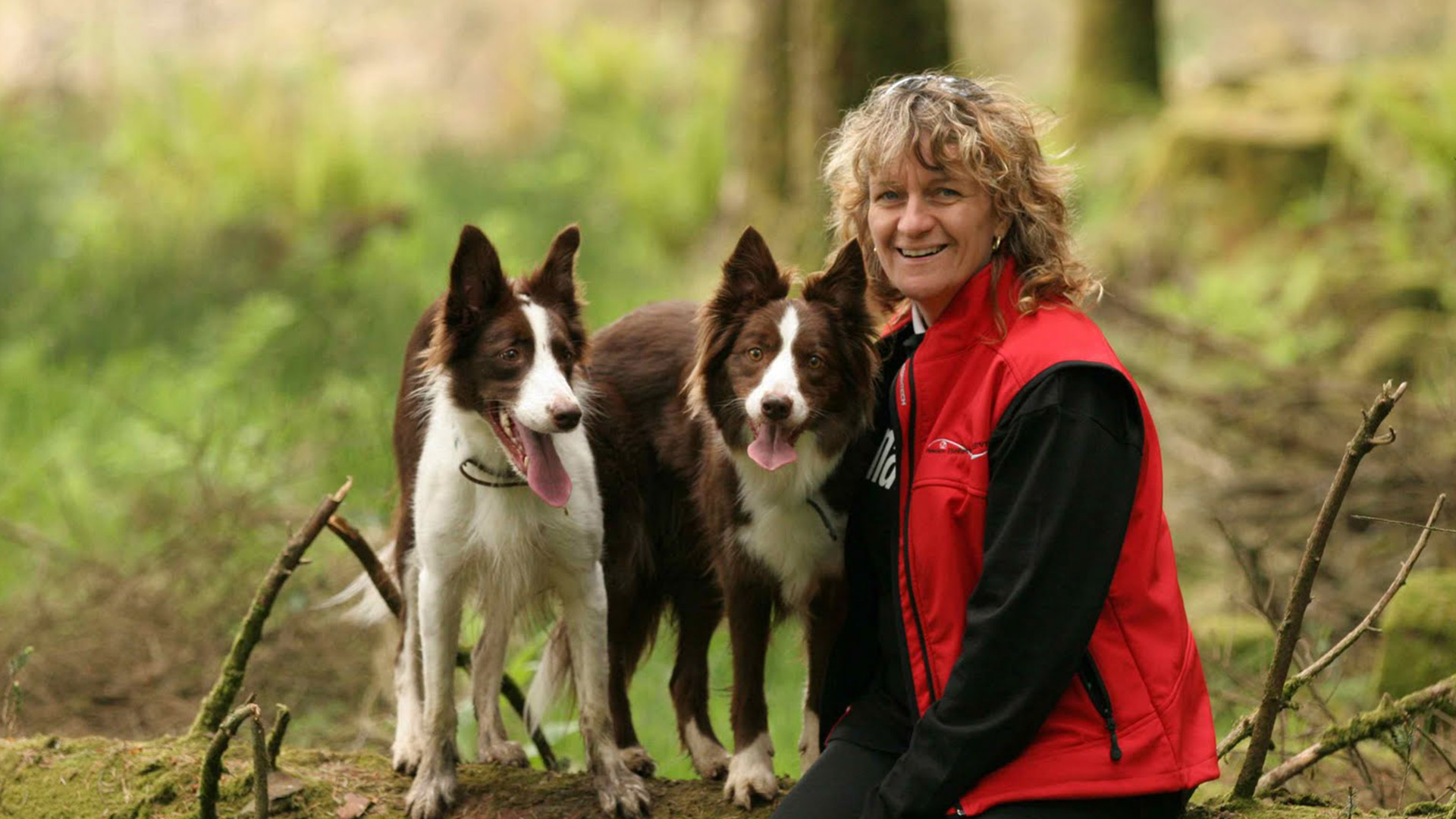 Shaping Success by Susan Garrett – Anything Pawsable