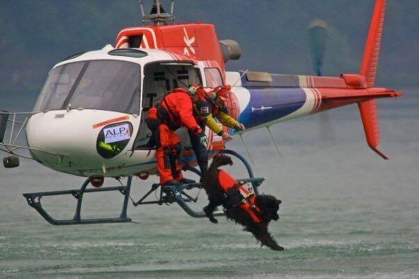 Italian Water Rescue Dog Deploys From Helicopter – Anything Pawsable
