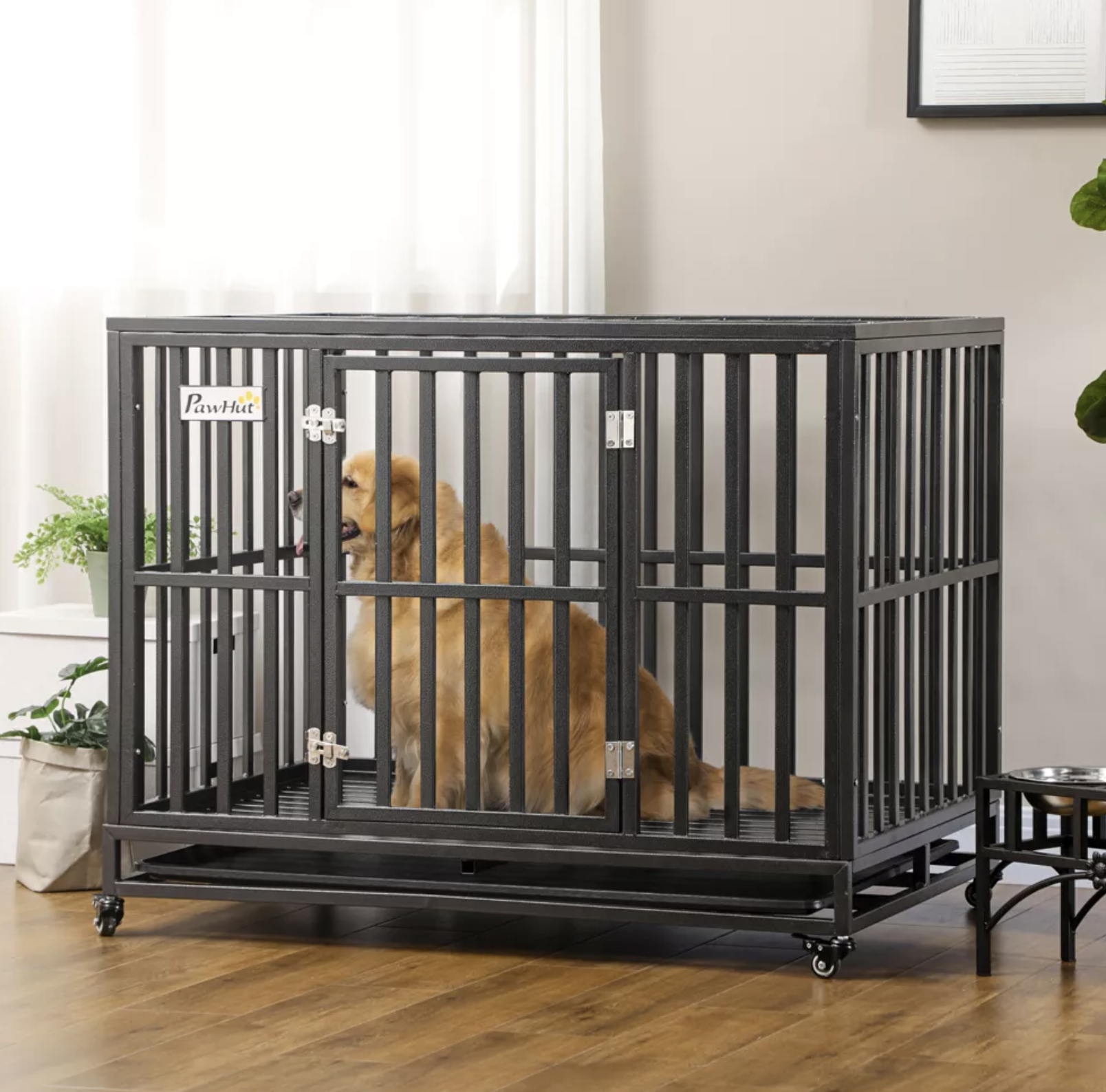 Mastering Crate Training: Transitioning Your Dog to Independence with ...