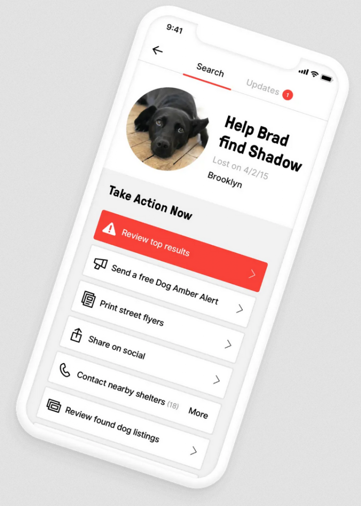 How to Find a Lost Dog, Beyond Flyers and Posters – Anything Pawsable