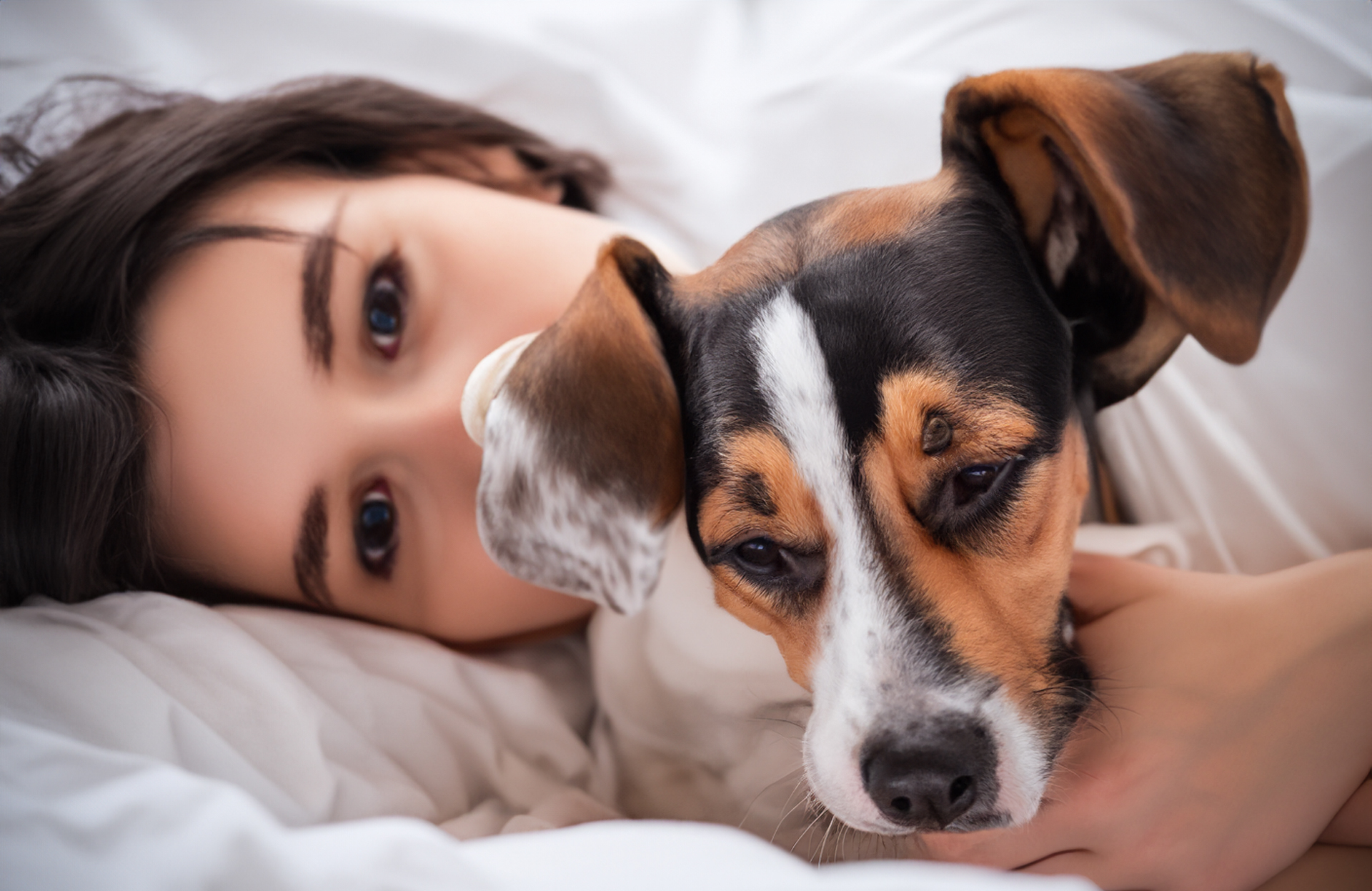 Understanding the Difference Between Psychiatric Service Dogs and ...